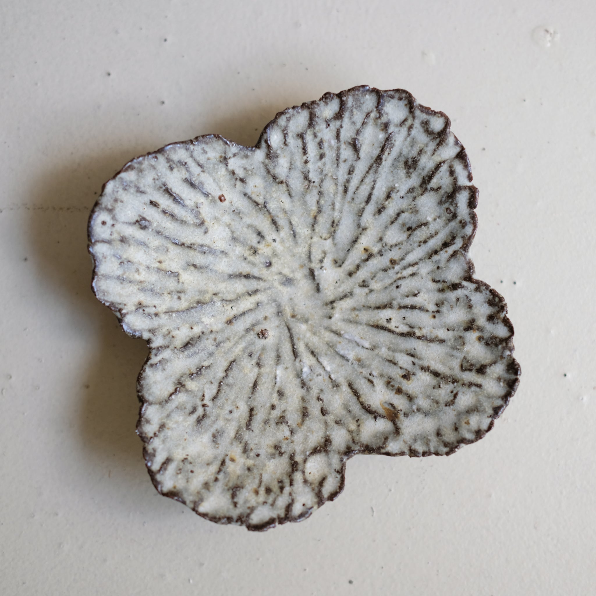"Water lily" plate in harvested earth L 15cm - matt white – Brutal Ceramics